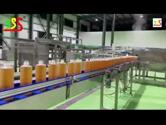 Customization Small And Medium Fruit Juice Production Line For School Test