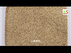 high capacity AI 5 chute  Color Sorter Machine for maize/corn/ wheat/rice /beans/grains food product line