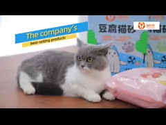 factory free sample cassava cat litter oem odm highly absorbent odor control strong clumping low dus