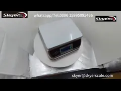 waterproof  ip68 class weight scales 15kg  capacity