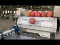 Stainless Steel Food Grade Fruit Processing Line With Automatic Bag Packing