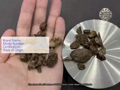 aromatherapy agarwood timber wood the ultimate woody fragrance experience