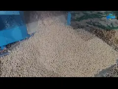 dgp 65 automatic stainless steel  dog food extruing machine / dry pet food processing line