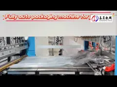 220V Empty Bottle Packaging Machine Fully Auto With Dual Channel Bottle Feeding