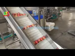 Concentrated Fruit Pulp Production Line High Capacity