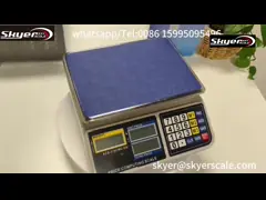 30kg 1g Digital Weight Scale With LCD Backlight Display