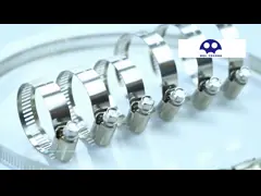 Stainless Steel SS Hose Clamps Clips Constant Tension Spring Custom