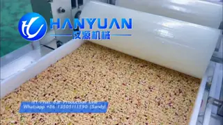 fruit bar production line