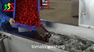 Fresh Tomato Jam Fruit Processing Line Customizationsystem