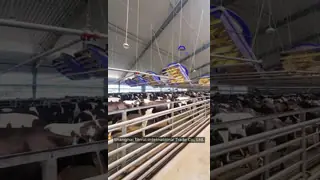 industrial  circulation fan with air flow 120000m³/h and 72/183cm blade diameter