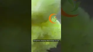 Flame Retardant Color Recycled Polyester Staple Fiber