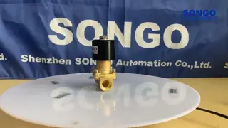 brass piston actuated valve 16bar nc 180℃ 2 way 12vdc for steam