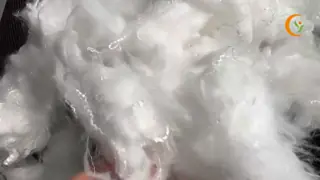 Micro Fiber Polyester with High Shrinkage Resistance and Anti-Bacterial Properties