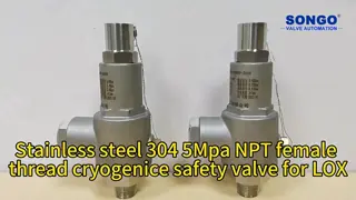 ss304 cryogenic relief valve 1/2inch 5mpa npt thread spring loaded for lox
