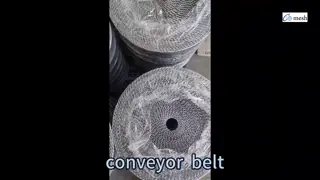 ladder link wire mesh conveyor belt 5mm to 15mm chain pitch