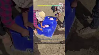 livestock automatic waterer with 50l/min flow rate and 450mm drinking height