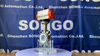 ptfe sg lug type pneumatic actuator butterfly valve ss304 double acting with 24vdc solenoid valve