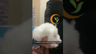 Flame Retardant Low Melt Pet Fiber For Insulation Nonwoven