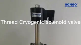 lng cryogenic solenoid valve 16bar sus304 extended stem butt weld flange npt thread