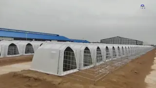 feeding activities plastic calf hutch give calves a separate space