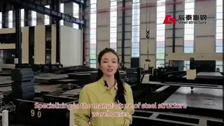 large span space hot-rolled galvanized steel structure hangar building with q355b quality