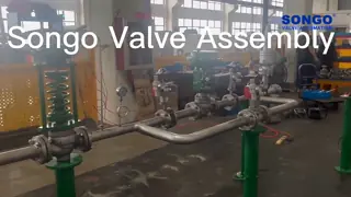 carbon steel pneumatic diaphragm control flanged globe valve single seated 5inch 25bar