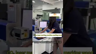 permanent laser marking engraving machine for leather fabric bamboo and wood crafts