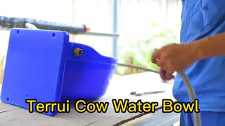 heavy duty pe automatic livestock water bowl 9.3l for ranch