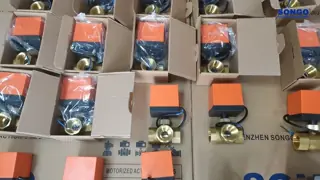 brass motorized ball valve miniaturized 220v female threaded type 2way 3way