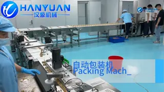 crisp nuts bar flow packing machine