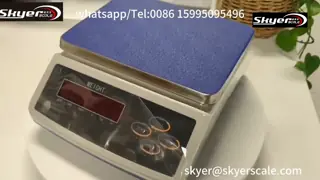 30kg d11 series electronic weighing platform scale