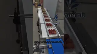 stainless steel modified atmosphere packaging machine