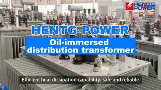 hentg step up down mv hv oil immersed distribution transformer 50kva 100kva 200kva