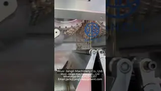 middle 6 inch servo motor softgel encapsulation machine