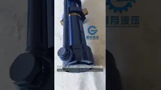 guoyue cd250 oem/odm hydraulic metallurgical cylinder with ce certificate