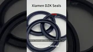 pz type cylinder piston ring seal, black nbr pneumatic sealing ring, festo cylinder seal