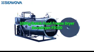 100kg industrial food freeze dryer 10sqm industrial freeze drying equipment