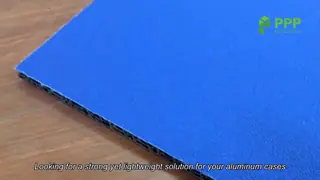 7mm 10mm black textured pp honeycomb board for aluminum carrying case