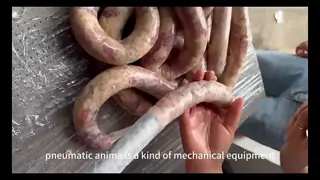 pneumatic sausage filling machine with automatic portioning and twisting function