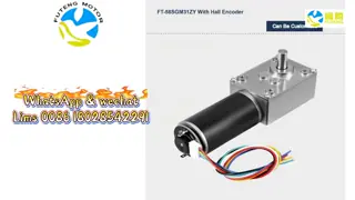 ft-58sgm31zy  slow speed big torque worm gear motor with hall encoder for lawn mower