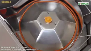 220v commercial orange juicer machine stainless steel commercial fruit squeeze juicer