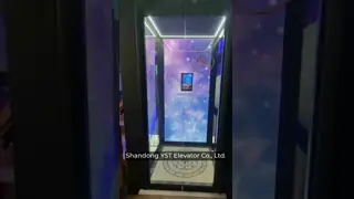 compact screw-driven home elevator | 250-450kg capacity