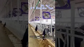 modern industrial fan 5m/s wind speed at 6 meters distance for superior airflow