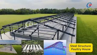poultry farm steel structures , q235 q345 steel cattle buildings