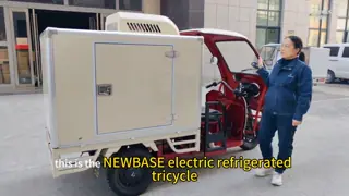1000w motor electric cargo tricycle with 60v/58ah battery and polyurethane insulation