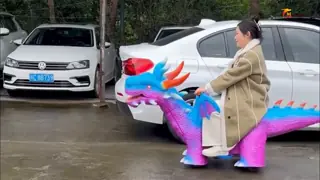 Above 3 Age Mounted Dinosaur Toy Model Realistic Design Educational Interactive Playset for Children and Collectors