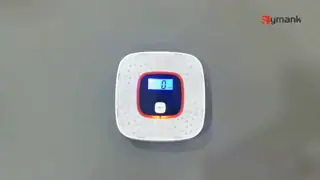 voice prompt carbon monoxide co detectors oem 7 year carbon monoxide alarm reliable