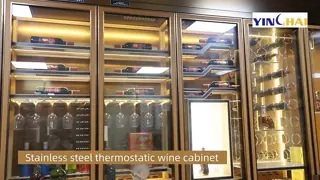 304 stainless steel temperature controlled wine cabinet dust proof with led lights