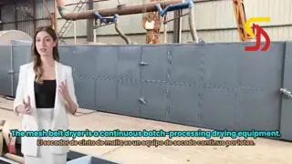continuous operation mesh belt dryer with precise temperature control for energy-saving drying