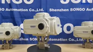 female external thread motorized actuator valve pn40 1inch 24vdc forged ss304 600psi